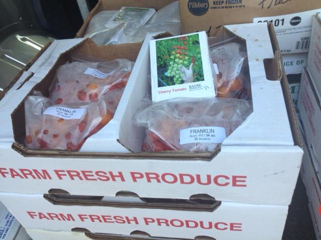 Healthy Snack Program - Bause Catered Events